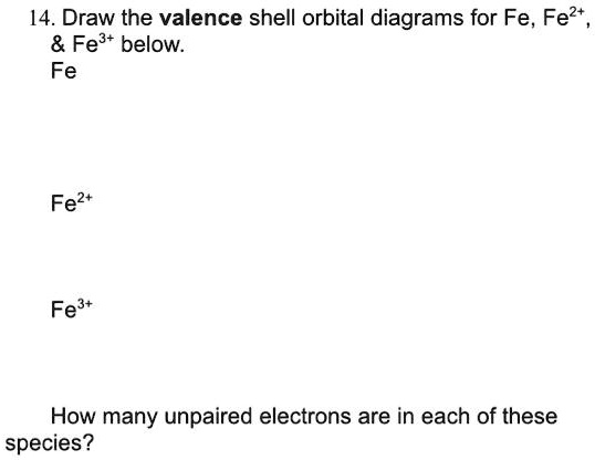 14. Draw the valence shell orbital diagrams for Fe, Fe2+, Fe3+ below ...