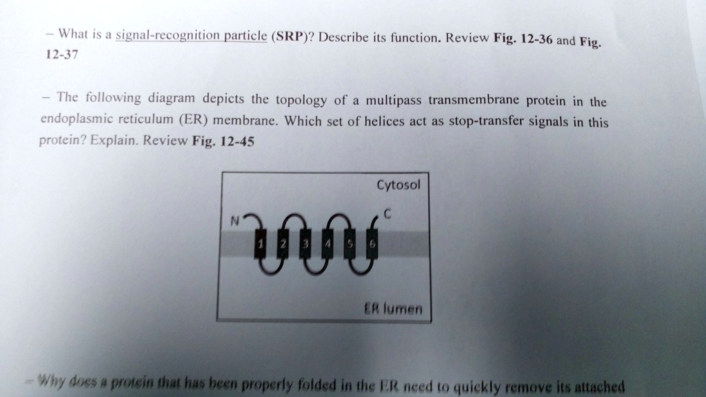 SOLVED: What is a signal-recognition particle (SRP)? Describe its ...