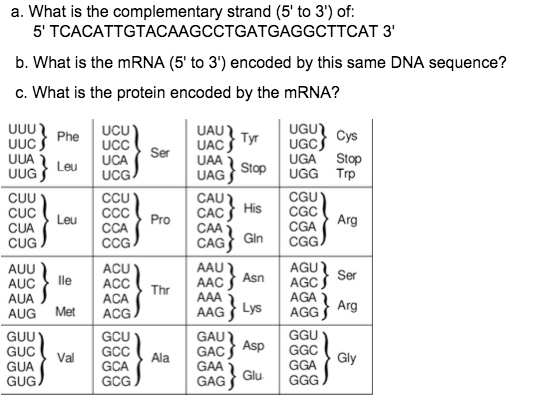 a. What is the complementary strand (5' to 3') of: 5 ...