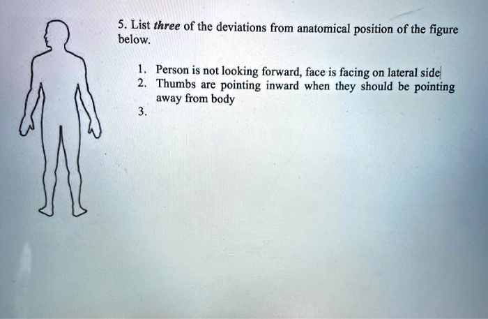 List three of the deviations from anatomical position of the figure ...