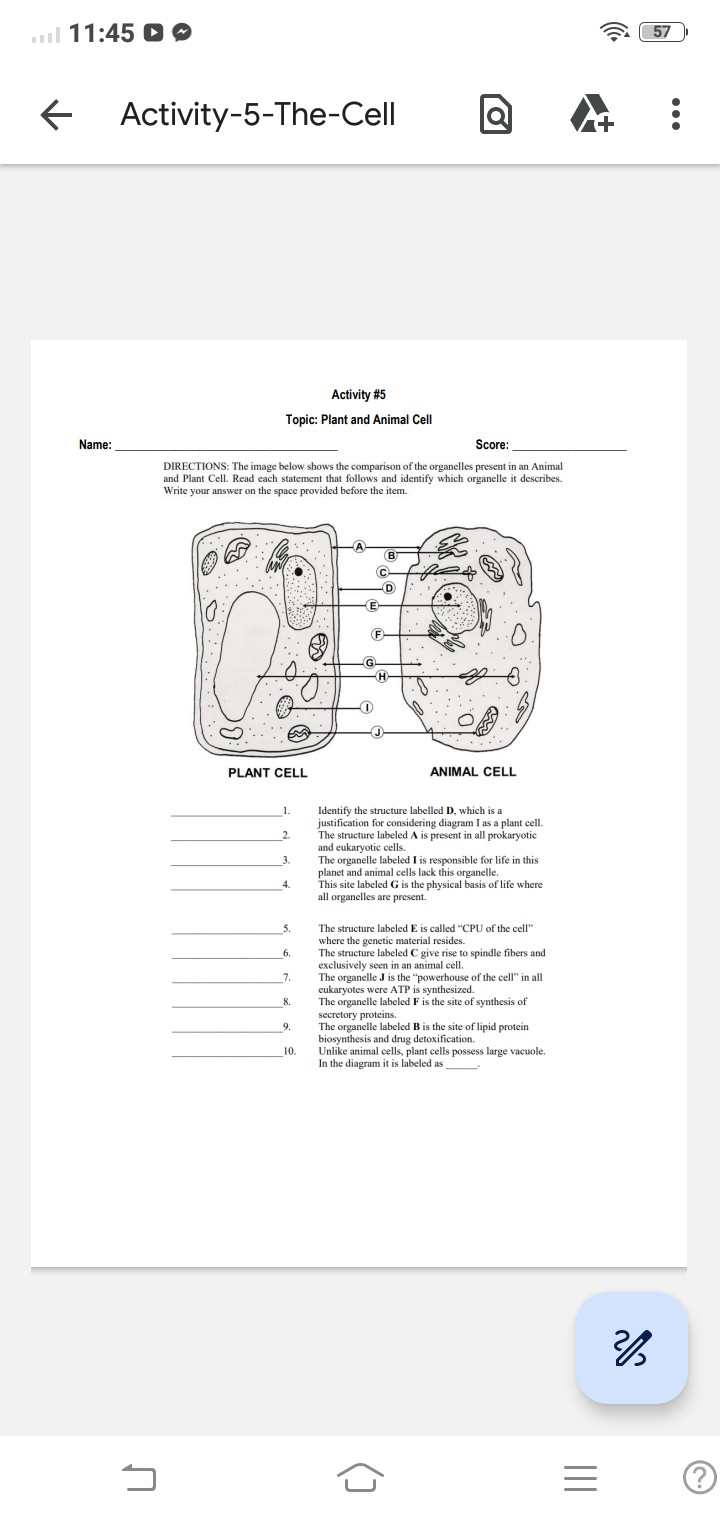 SOLVED: 11:45 ? ? ? 57 ← Activity-5-The-Cell Activity # 5 Topic: Plant ...