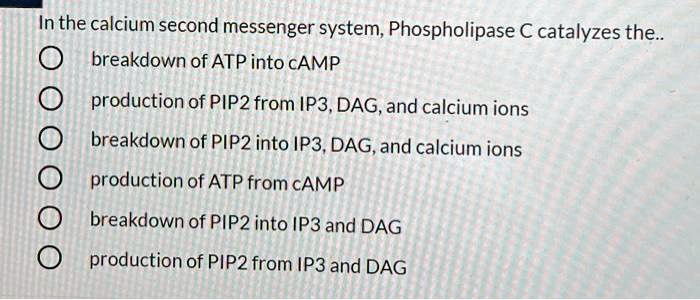 In the calcium second messenger system, Phospholipase C catalyzes the ...