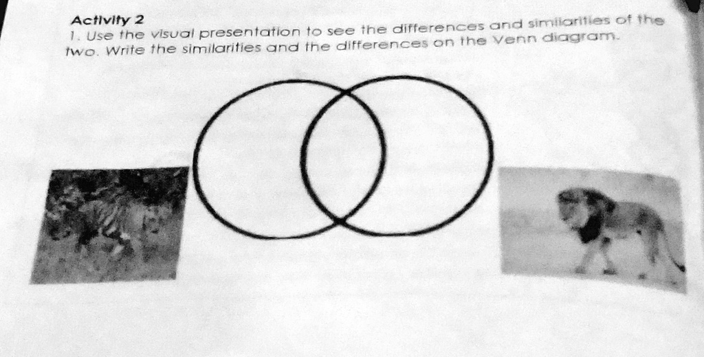 activity 2 1 use the visual presentation to see the differences and ...