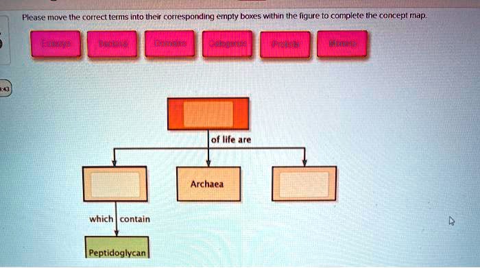 Please move the correct terms into their corresponding empty boxes within the figure to complete ...