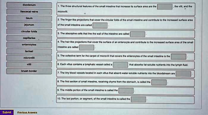 texts 1 the three structural features of the small intestine that ...