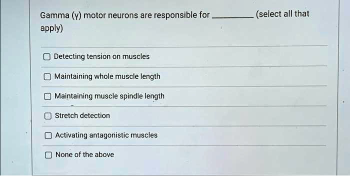 SOLVED: Gamma motor neurons are responsible for: - Detecting tension on ...