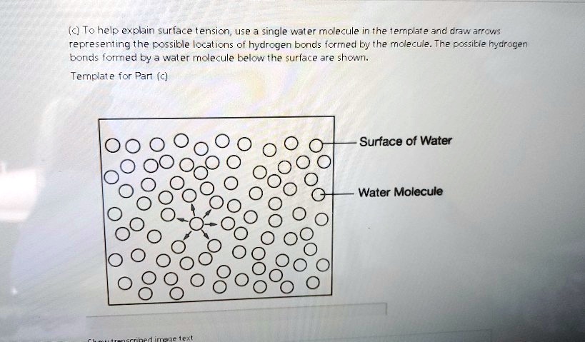 c to help explain surface tension us2 single water molecule in the ...