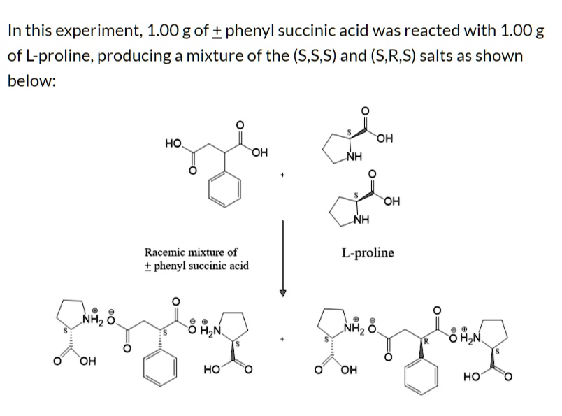 In this experiment, 1.00 g of phenyl succinic acid was reacted with 1. ...