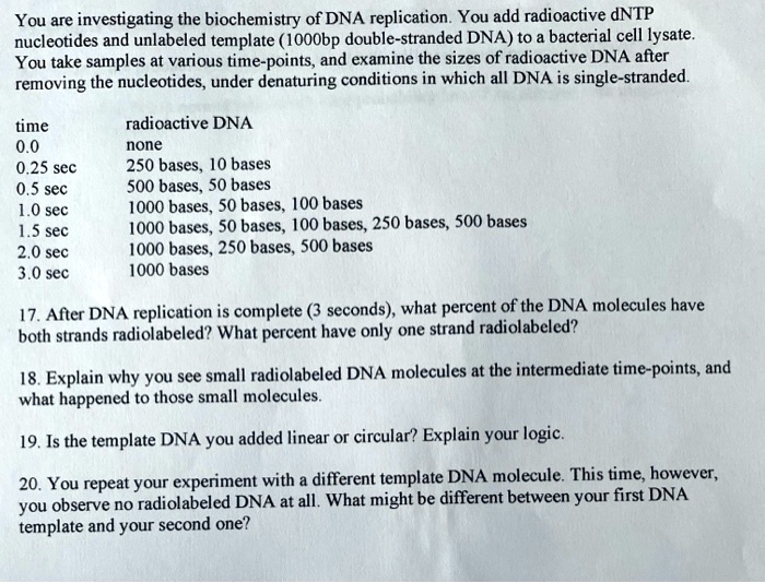 SOLVED: You are investigating the biochemistry of DNA replication. You ...