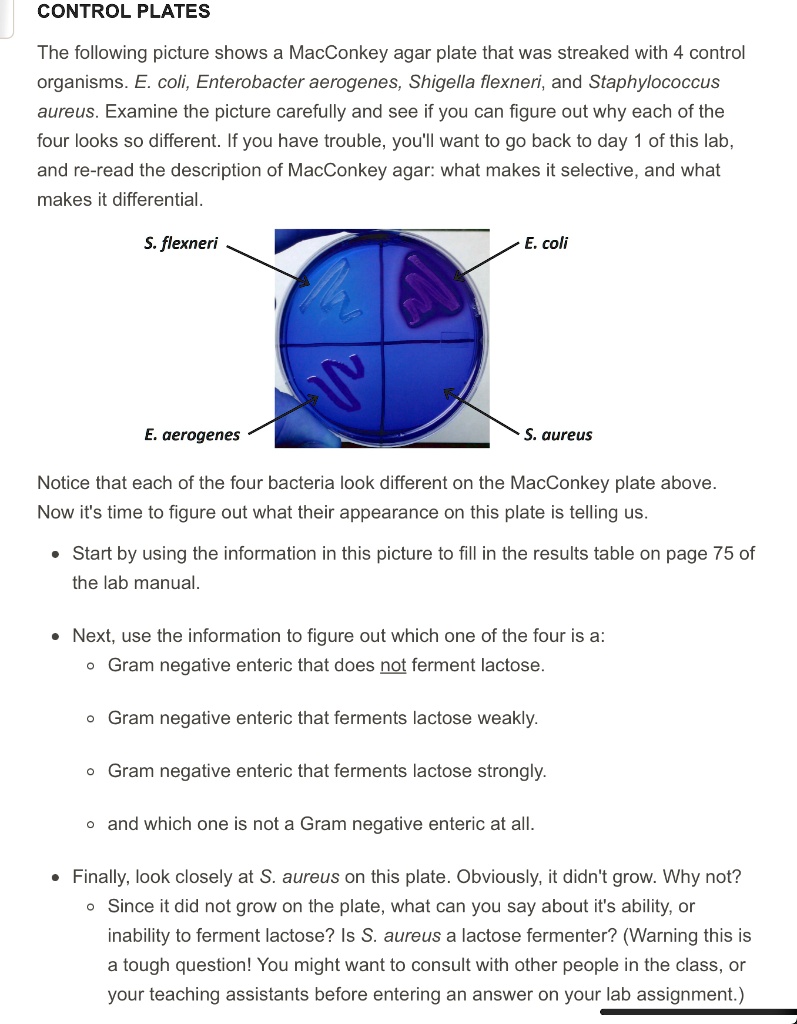 control plates the following picture shows a macconkey agar plate that ...