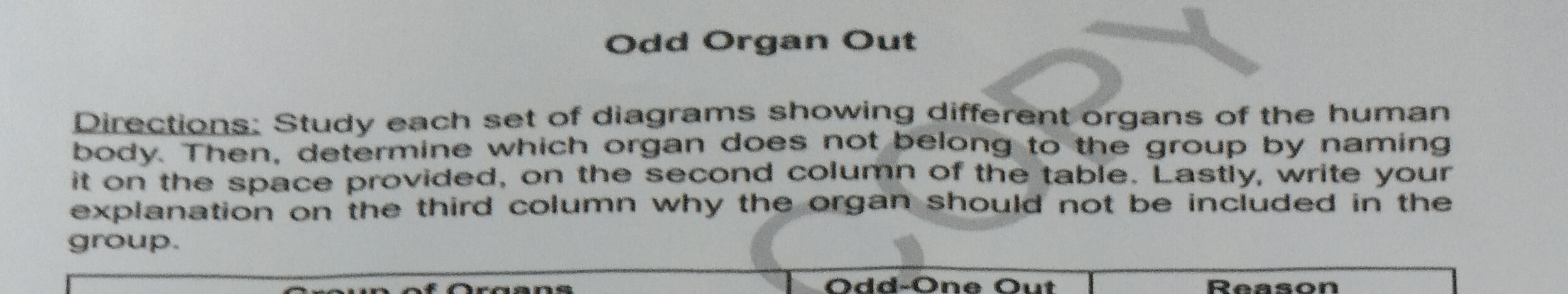 SOLVED: Odd Organ Out Directions: Study each set of diagrams showing ...