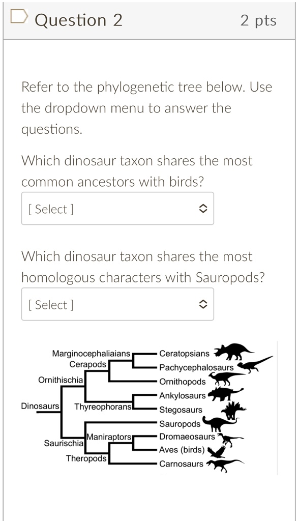 Question 2 2 pts Refer to the phylogenetic tree below. Use the dropdown ...