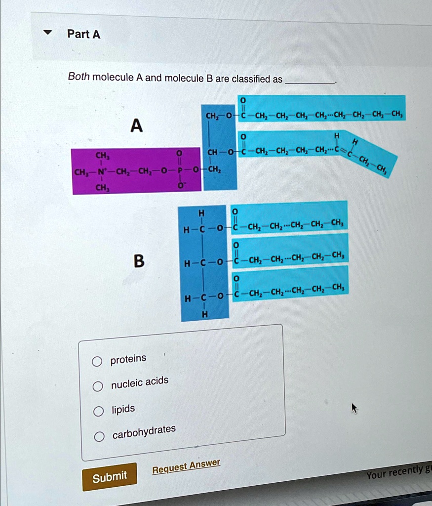 Part A Both molecule A and molecule B are classified as proteins ...