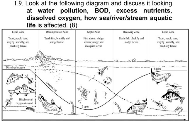 SOLVED: 1.9. Look at the following diagram and discuss it, looking at ...