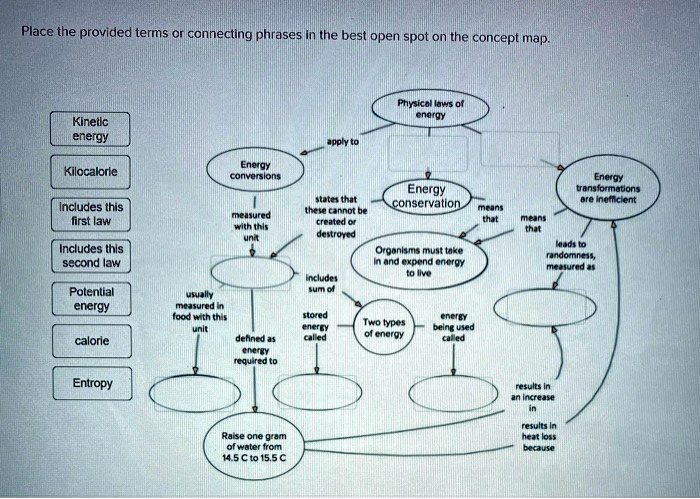 Place the provided terms or connecting phrases in the best open spot on ...