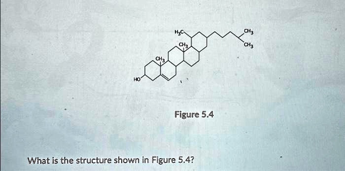 Solved Ho Ch3 H3c Ch3 Figure 5 4 What Is The Structure Shown In Figure