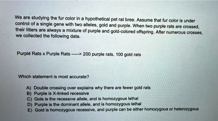 We are studying the fur color in a hypothetical pet rat bree. Assume ...