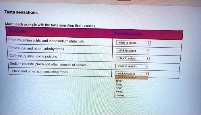 Taste sensations Match each example with the taste sensation that it ...
