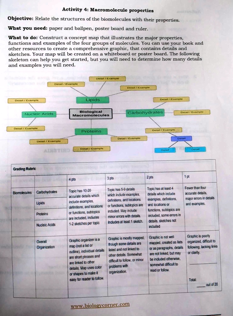 SOLVED: Construct a concept map that illustrates the major properties ...