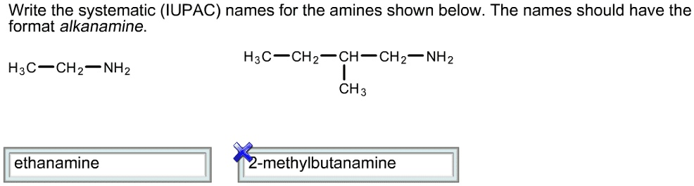 SOLVED: ' Write the systematic (IUPAC) names for the amines shown below ...