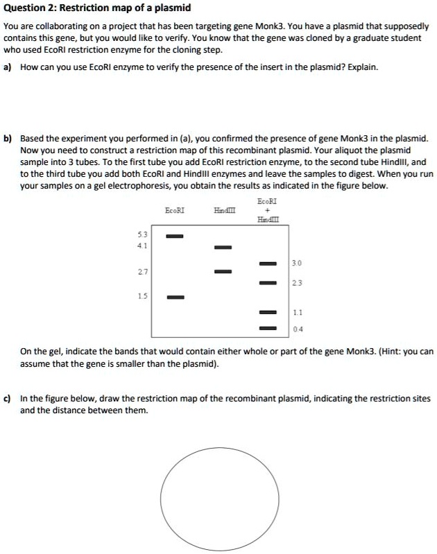 question 2 restriction map of plasmid you are collaborating on project ...