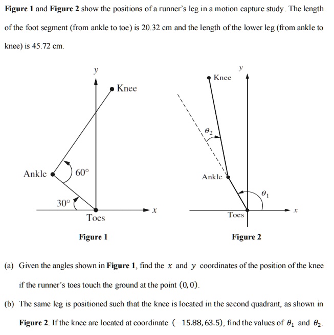figure and figure show the positions of a runner leg in a motion ...