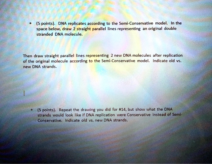 5 points dna replicates according to the semi conservative model in the ...