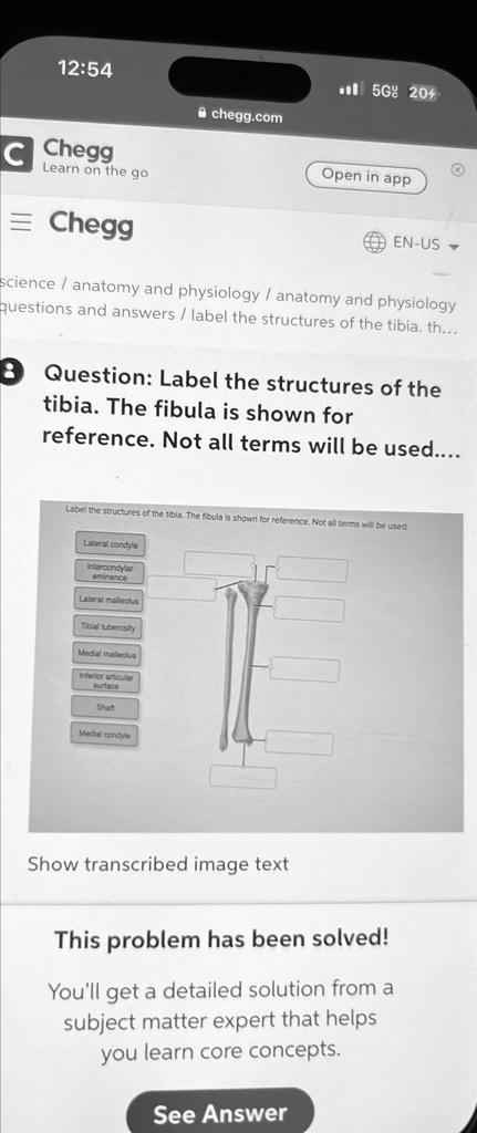 12:54 C Chegg Learn on the go = Chegg 5G 20% chegg.com Open in app EN-US science / anatomy and ...