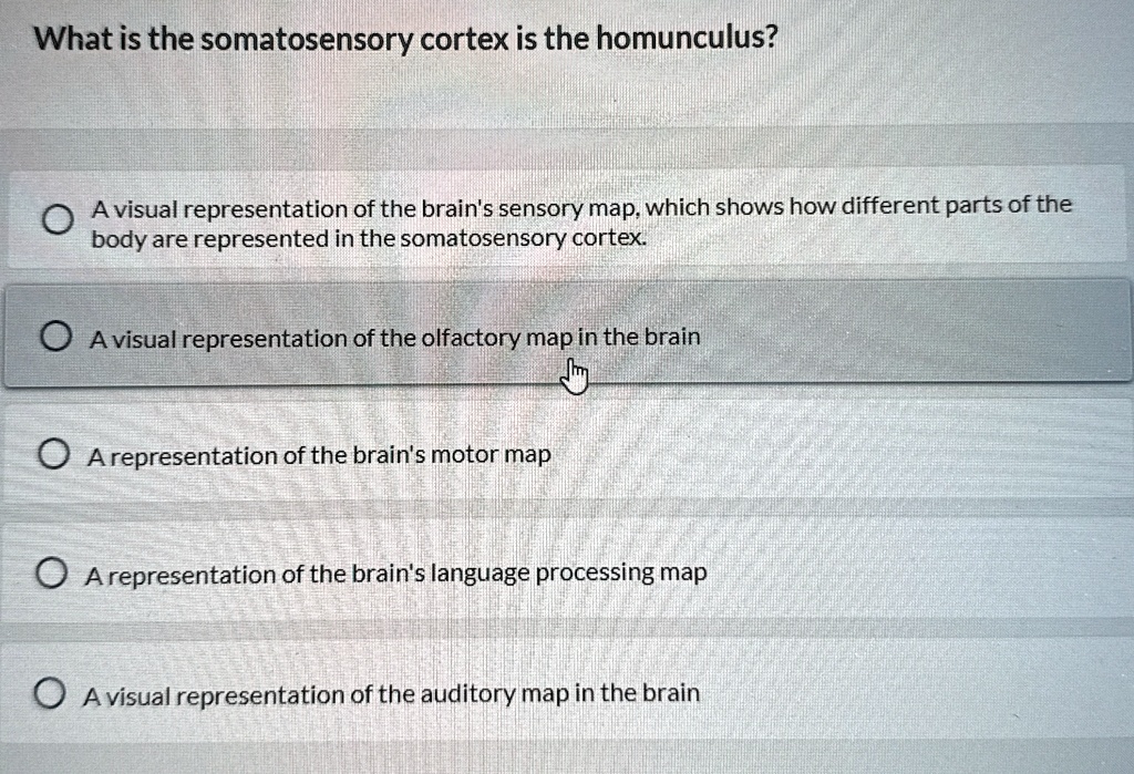 What is the somatosensory cortex is the homunculus? A visual ...