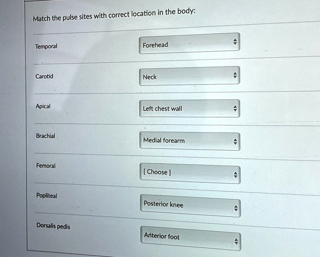 Match the pulse sites with correct location in the body: Temporal ...