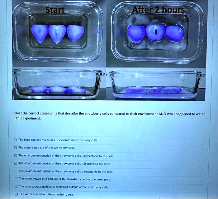 SOLVED: Start After2 hours Select the correct statements that describe ...