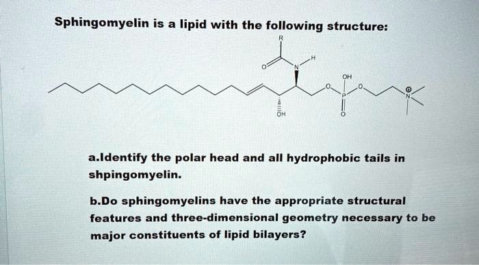 sphingomyelin is a lipid with the following structure aidentify the ...