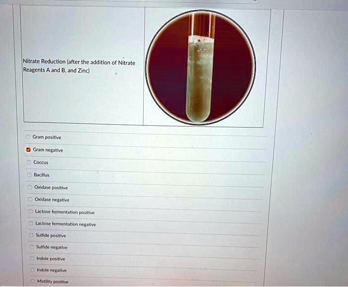 Nitrate Reduction (after the addition of Nitrate Reagents A and B, and ...