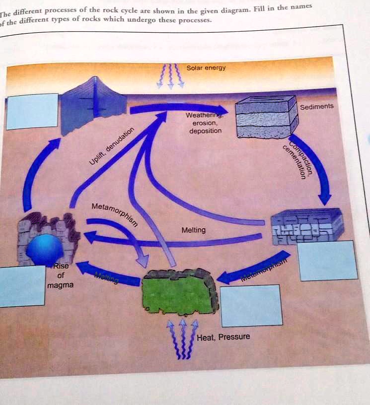 SOLVED: Fill in the names of the different types of rocks which undergo ...