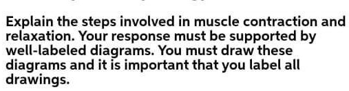 SOLVED: Explain the steps involved in muscle contraction and relaxation ...
