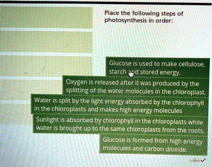 Please place the following steps of photosynthesis in order: 1 ...