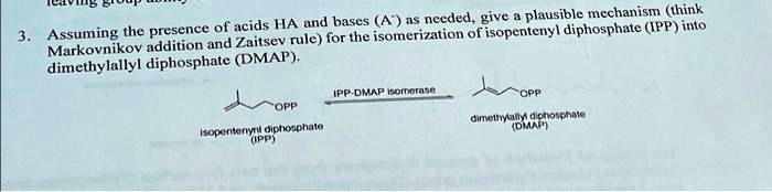SOLVED: Dimethylallyl diphosphate (DMAP). IPP-DMAP isomerase. OPP ...