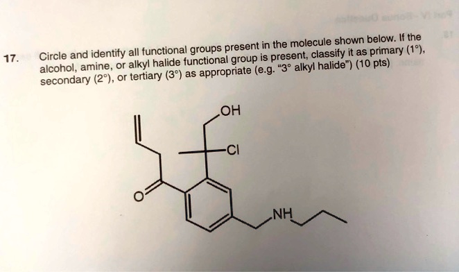 [GET ANSWER] in the molecule shown below if the and identify all ...