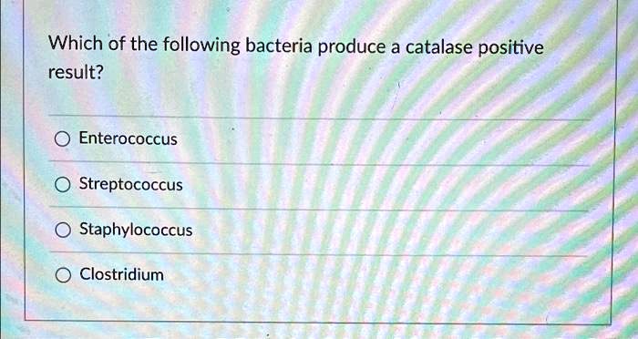 which of the following bacteria produce a catalase positive result ...
