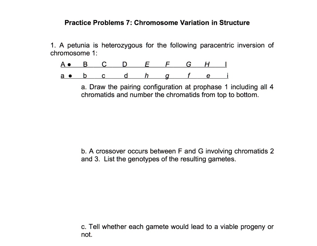 Practice Problems 7: Chromosome Variation in Structure 1. A petunia is ...