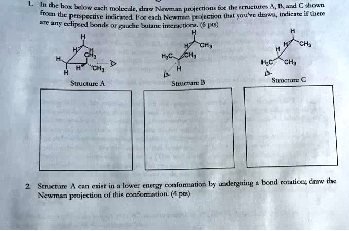 1. In the box below each molecule, draw Newman projections for the structures A, B, and C shown ...