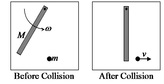 Before Collision After Collision