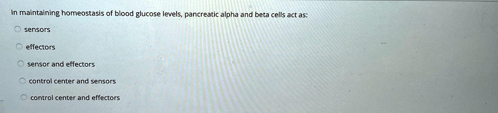 in maintaining homeostasis of blood glucose levels pancreatic alpha and ...