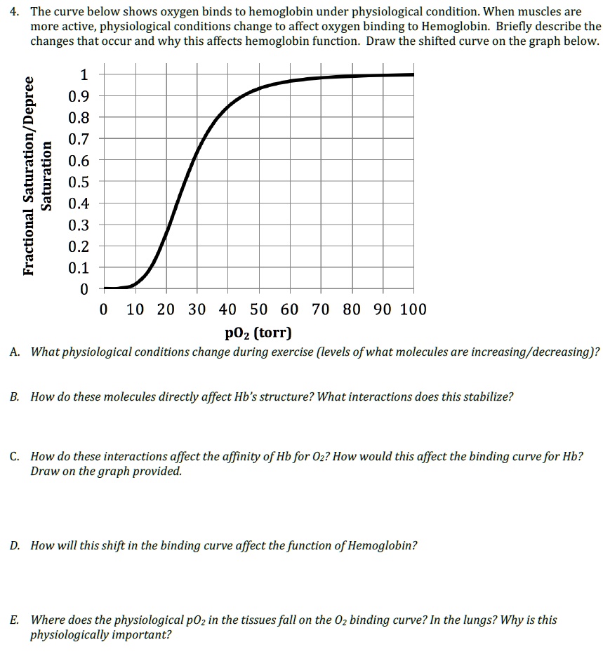 SOLVED: The curve below shows oxygen binds to hemoglobin under ...