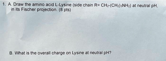 SOLVED: A: Draw the amino acid L-Lysine (side chain R= CH3-(CH2)4 NH2 ...