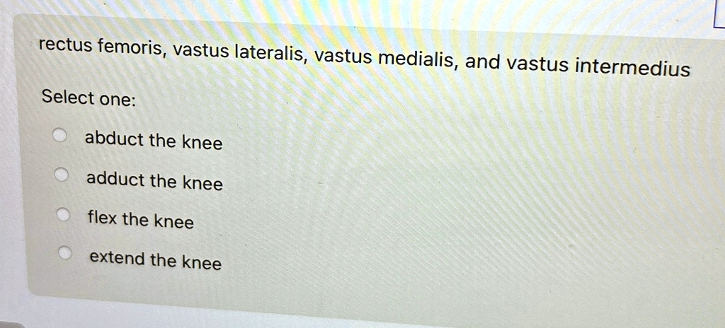 rectus femoris, vastus lateralis, vastus medialis, and vastus ...