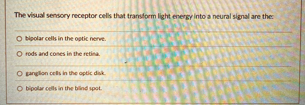 The visual sensory receptor cells that transform light energy into a ...