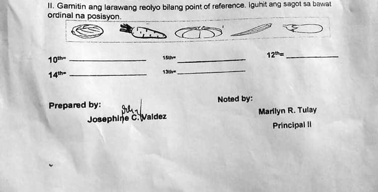 SOLVED: Gamitin ang larawang repolyo bilang point of reference. Iguhit ...