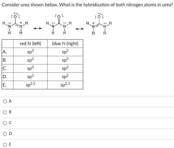 SOLVED:Consider urea shown below What is the hybridization of both nitrogen atoms in urea? red N ...