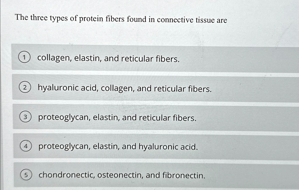 The three types of protein fibers found in connective tissue are 1 ...